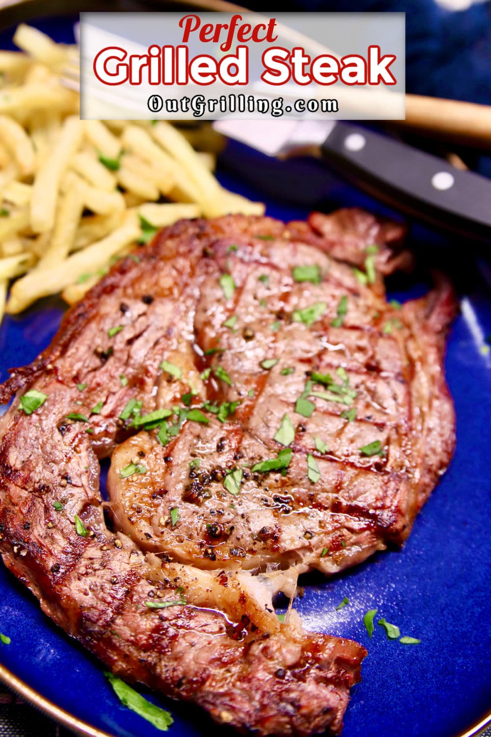 Grilled Steak - Out Grilling