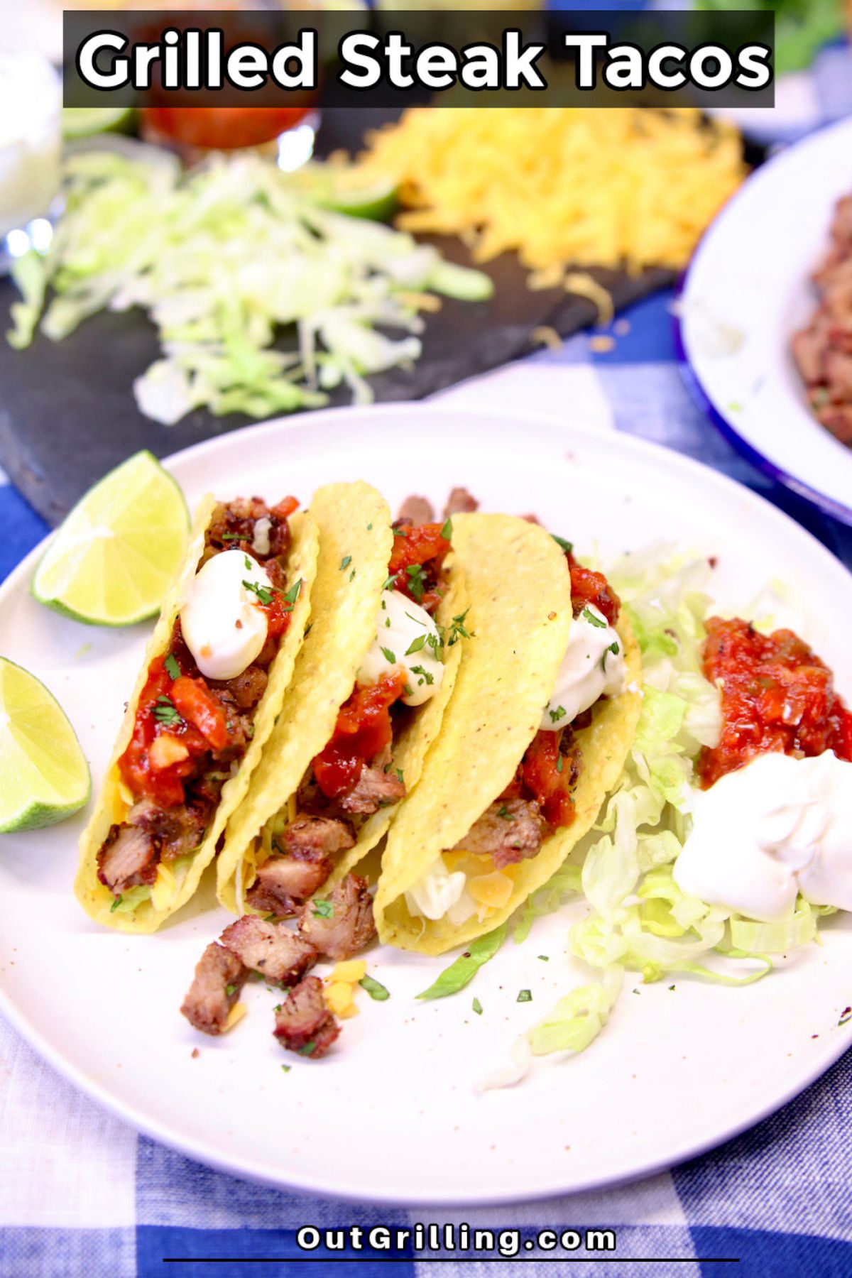 Grilled Steak Tacos - Out Grilling